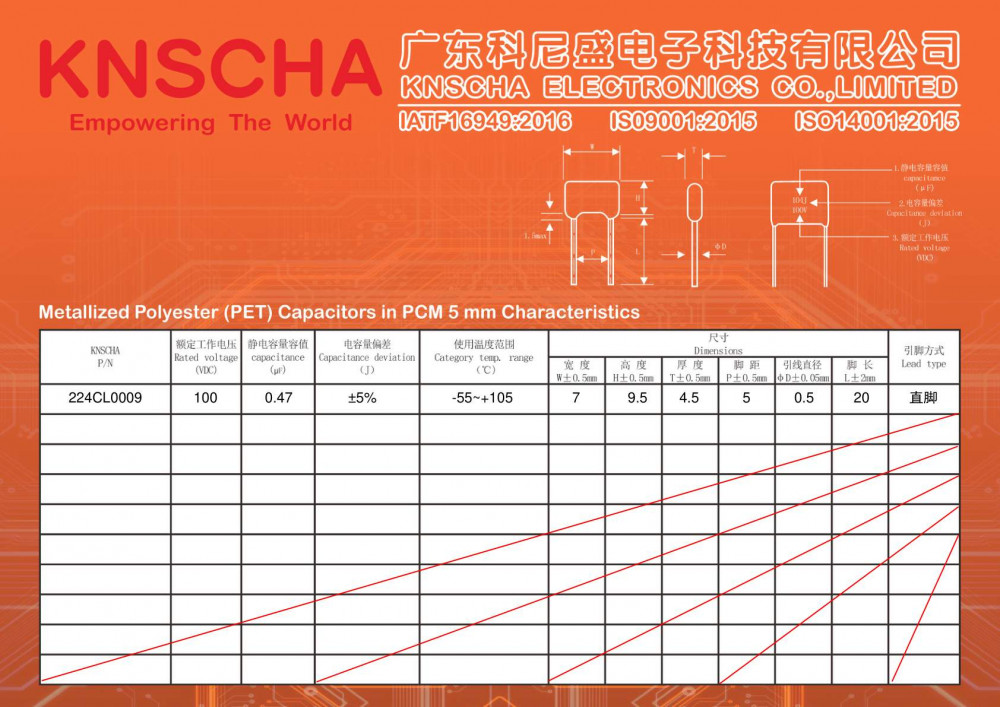 224CL0009 datasheet page 4