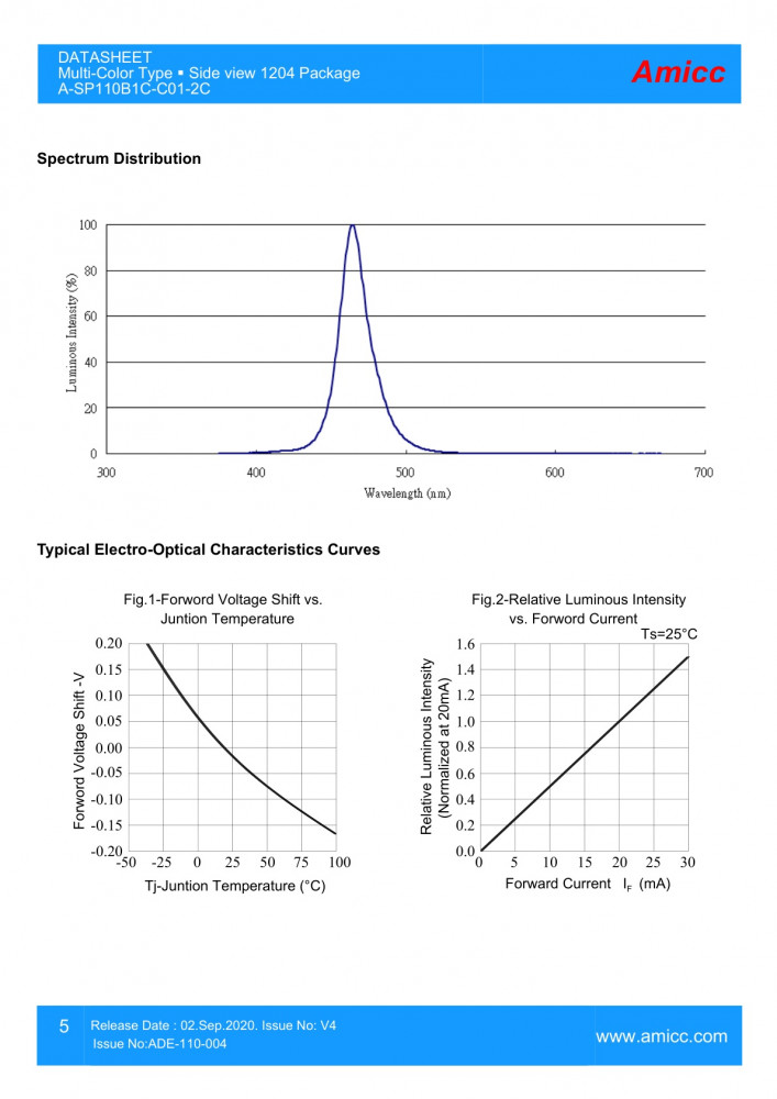 A-SP110B1C-C01-2C datasheet page 5