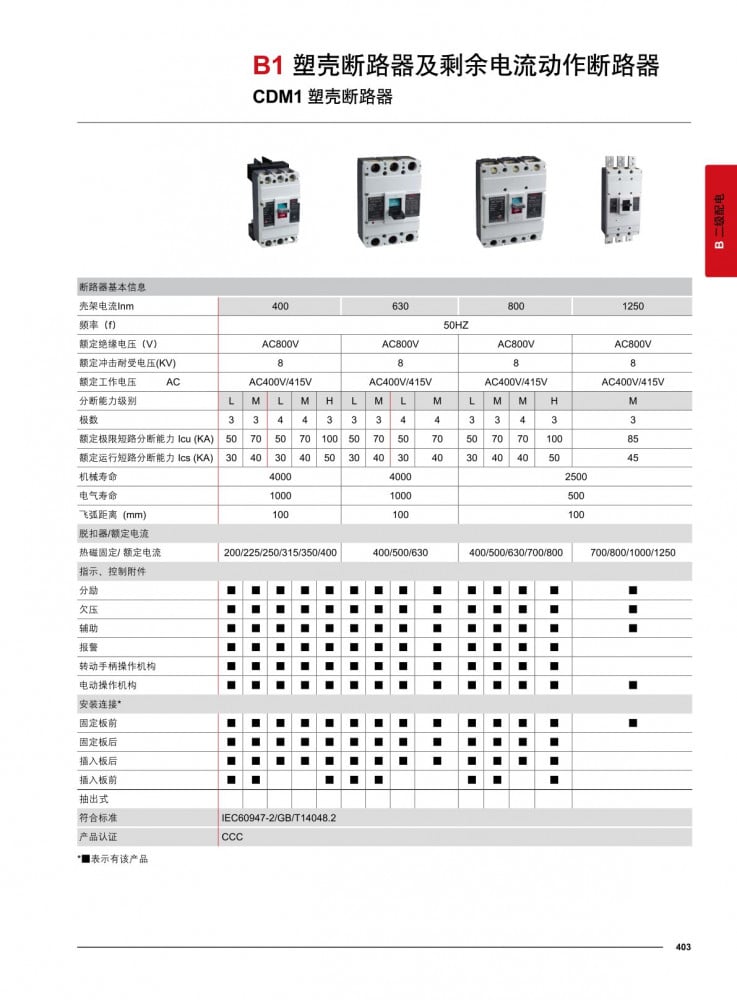 CDM1 datasheet page 3