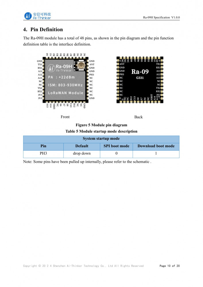 Ra-09H datasheet page 10