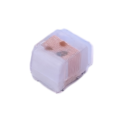 PSA FEC1008CP-62NG-LRH Fixed Inductor