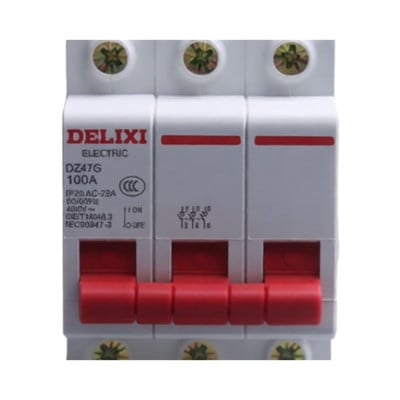 Delixi Electric DZ47G232 Disconnect Switch Component