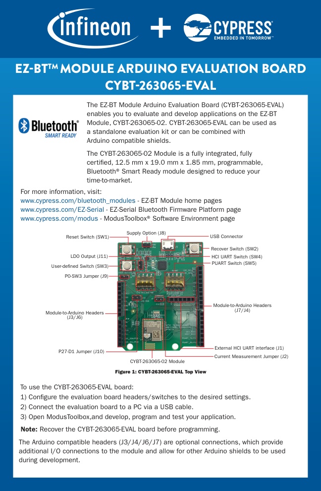 CYBT-263065-EVAL document page 2