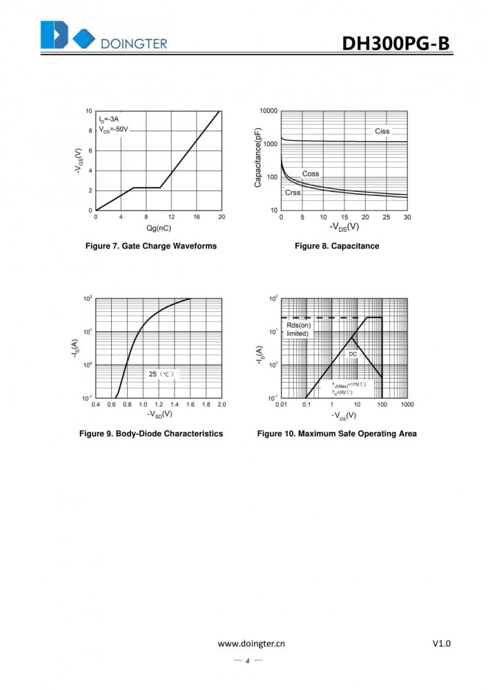 DH300PG-B datasheet page 4