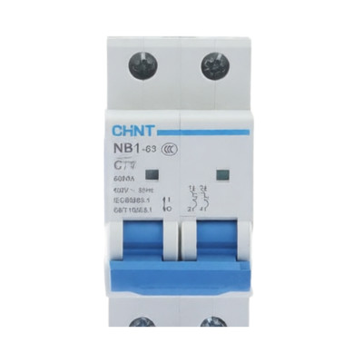 CHINT NB1-63 2P C16 6kA(R) Miniature Circuit Breaker for sale