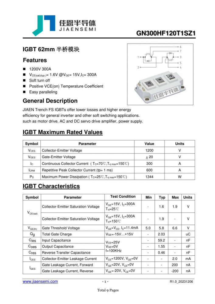 GN300HF120T1SZ1 datasheet page 1
