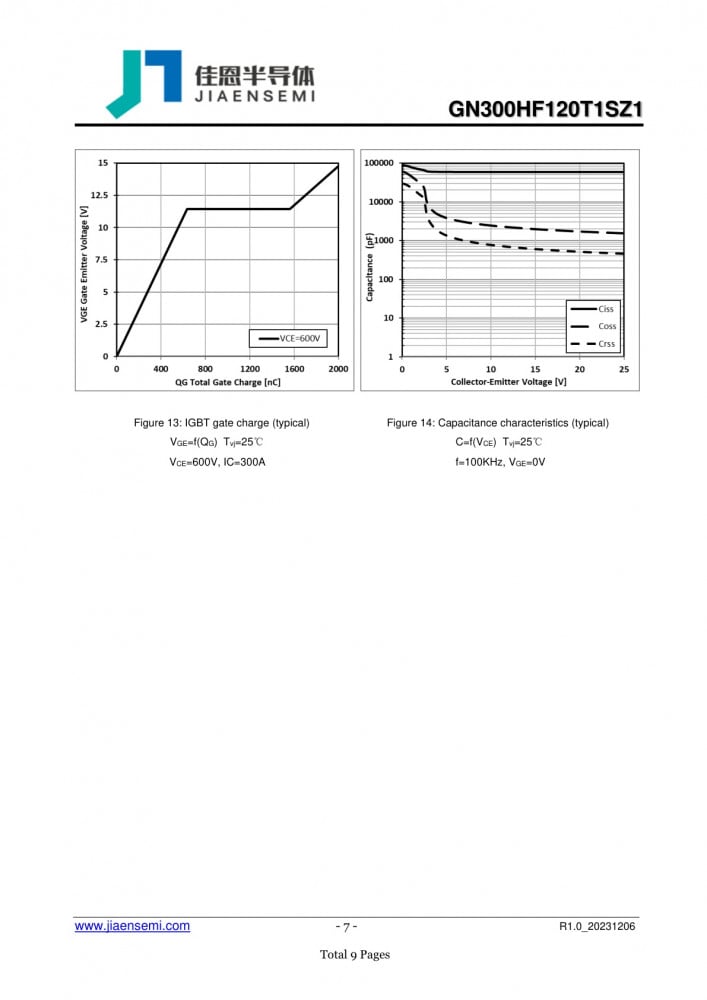 GN300HF120T1SZ1 datasheet page 7