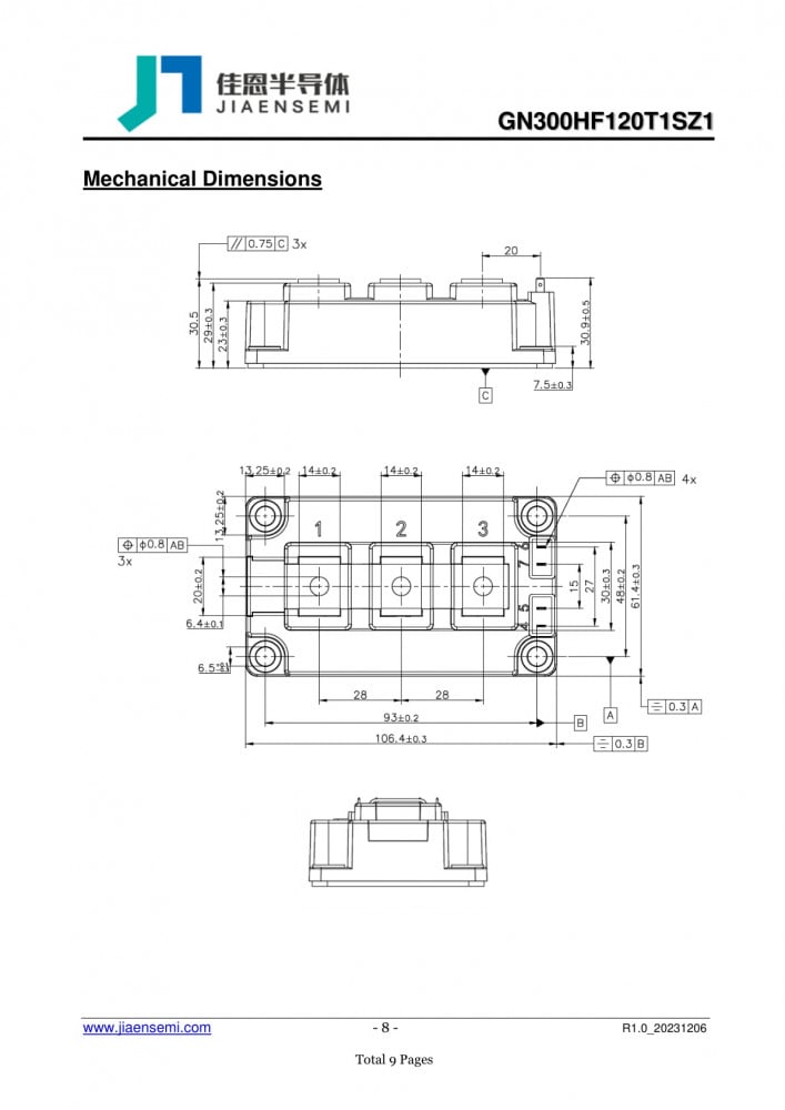GN300HF120T1SZ1 datasheet page 8