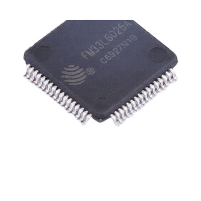 FUDAN MICRO FM33G026 Microcontroller