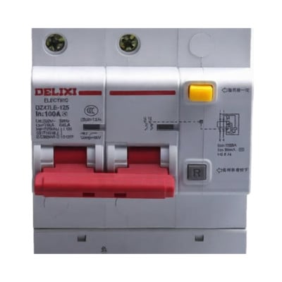 Delixi Electric DZ47LE1256D100 Miniature Residual Current Circuit Breaker