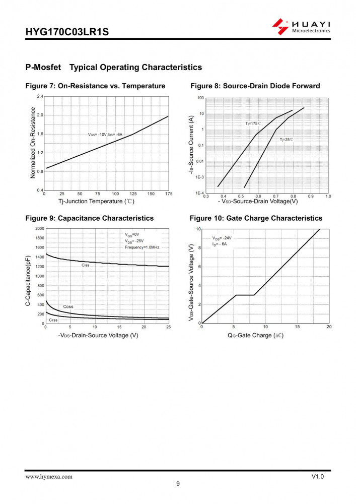 HYG170C03LR1S datasheet page 9
