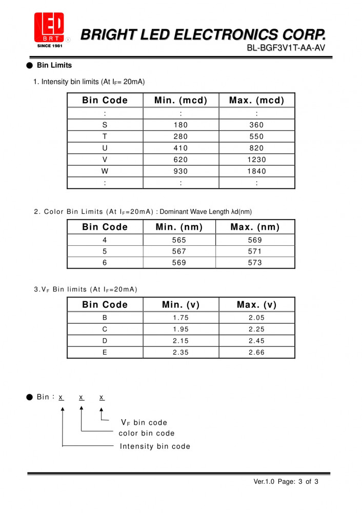 BL-BGF3V1T-AA-AV datasheet page 3