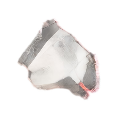 Hanbo Electronic WS-001CB Thumbwheel Switch Chip