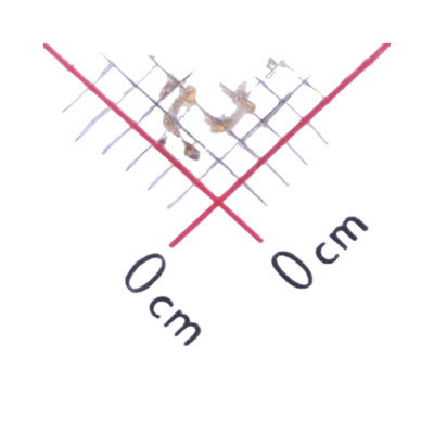 HELE SSW32768KF3CHC-IT Crystal Chip