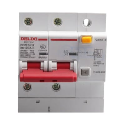 Delixi Electric DZ47LE1256D100 Miniature Residual Current Circuit Breaker
