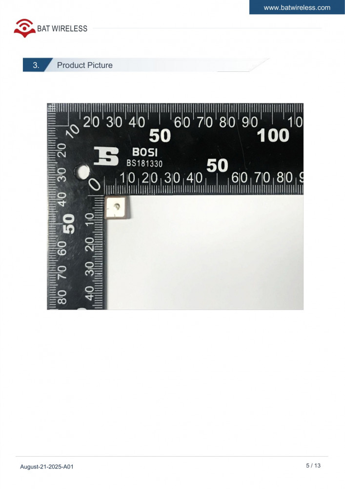 BWGNSCNX10-10W2 datasheet page 5