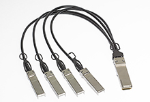 Molex 1003451202