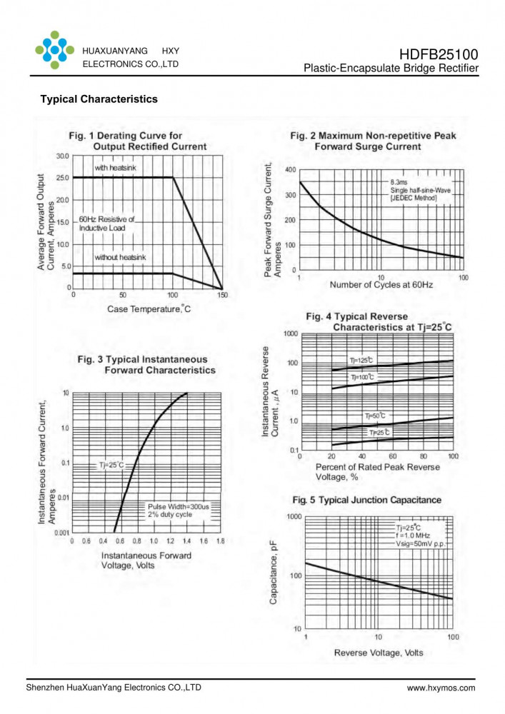 HDFB25100 datasheet page 2