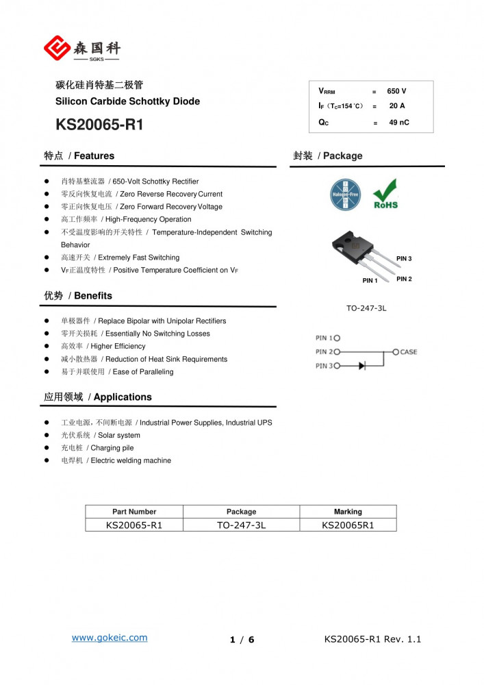 KS20065-R1 datasheet page 1