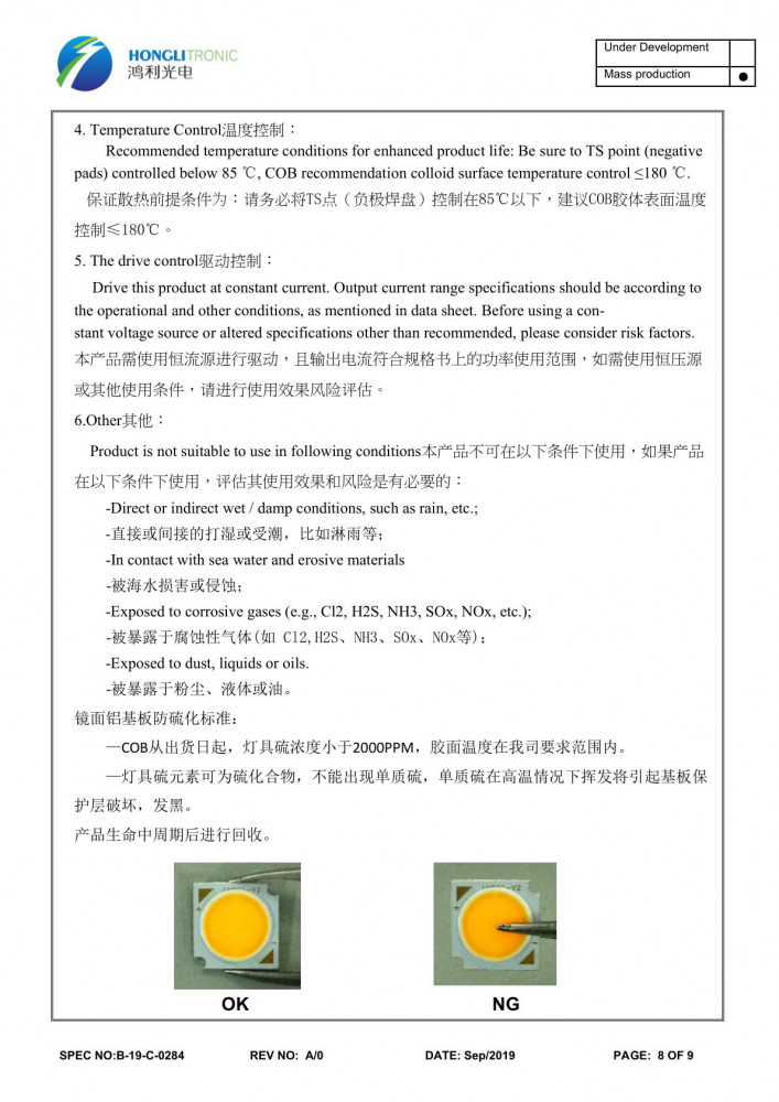 HONGLITRONIC datasheet page 8