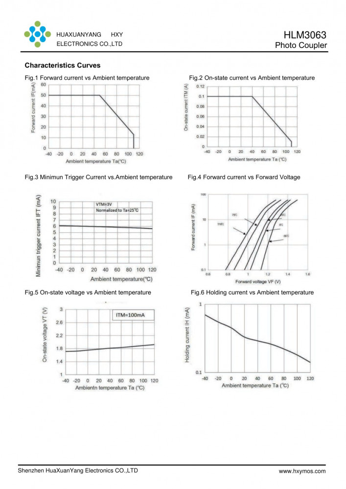 HLM3063 datasheet page 3