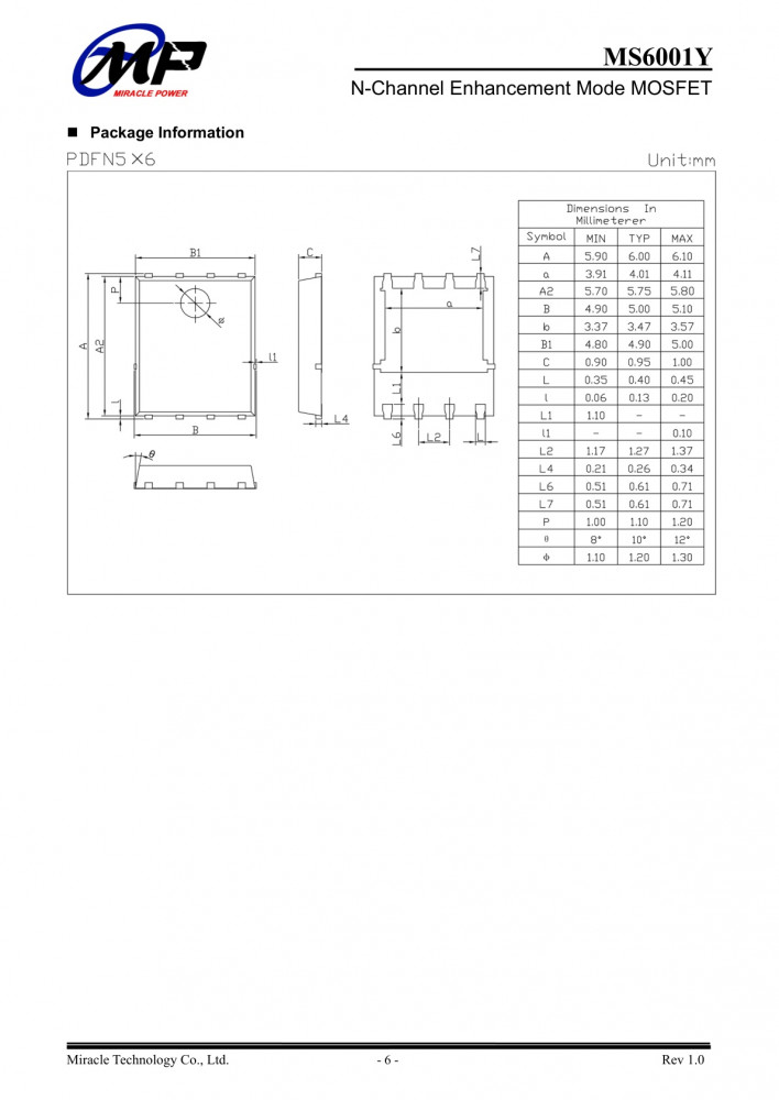 MS6001Y datasheet page 6