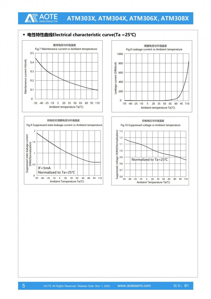 ATM3062-CuH-SE datasheet page 6