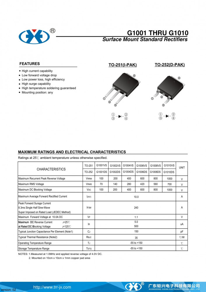 G1010DS datasheet page 1