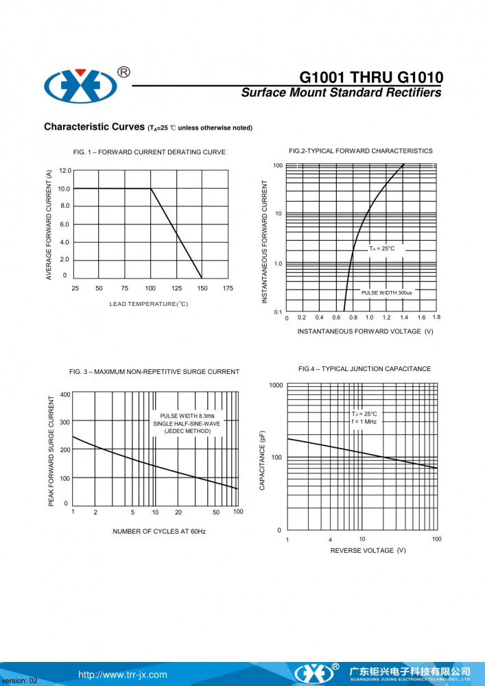 G1010DS datasheet page 2