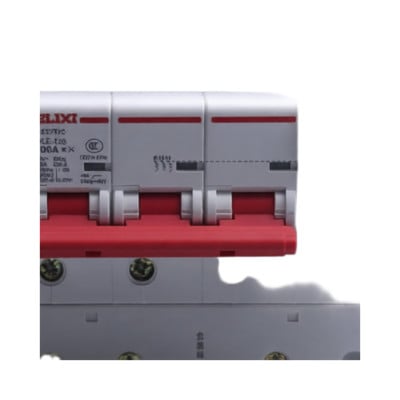 Delixi Electric DZ47LE1256D100 Miniature Residual Current Circuit Breaker