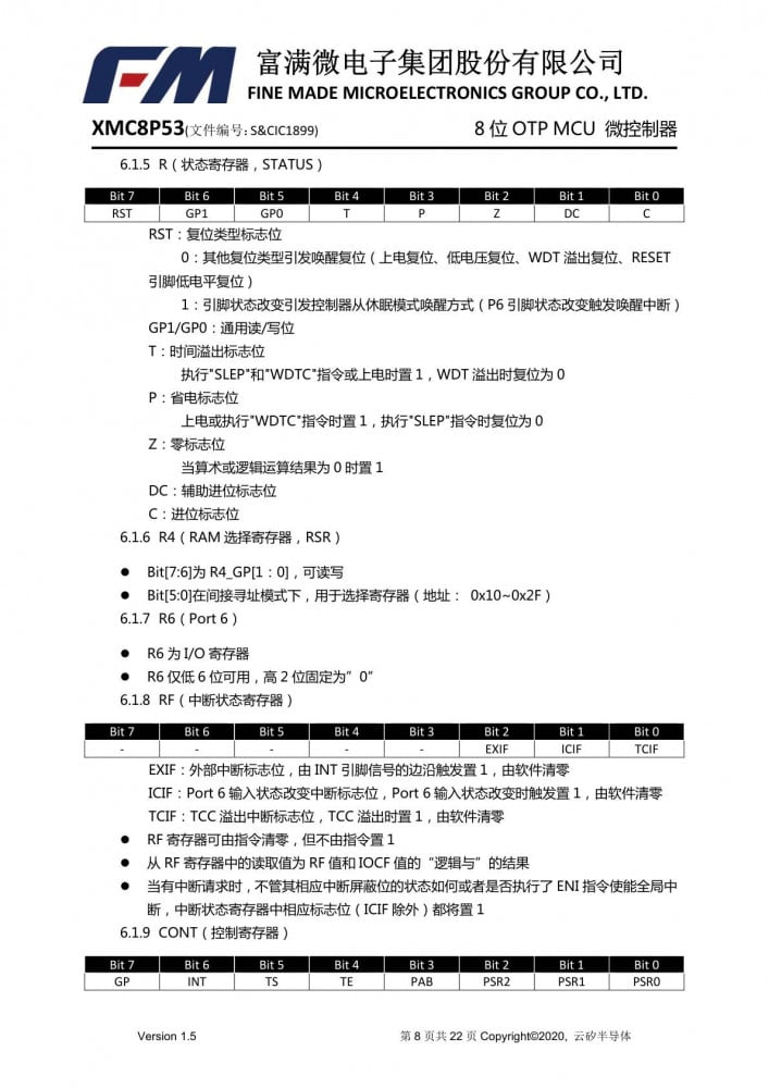 XMC8P53S6 datasheet page 8
