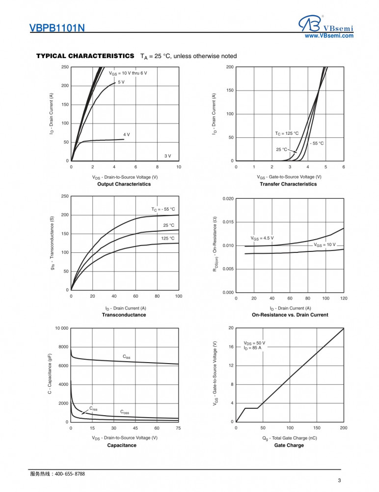 VBPB1101N datasheet page 3