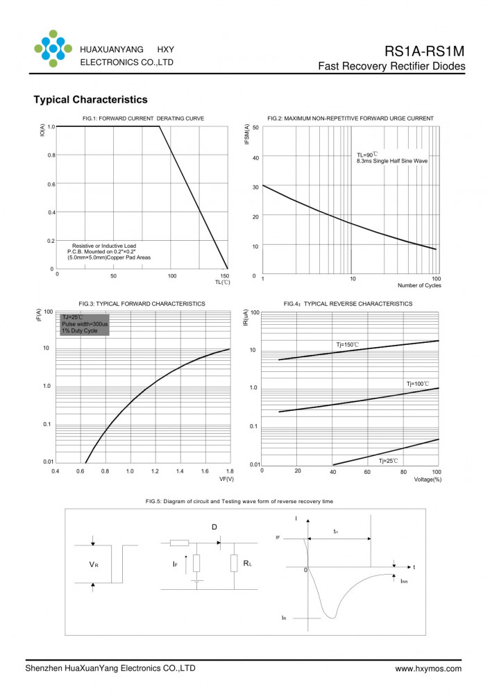 RS1M datasheet page 2