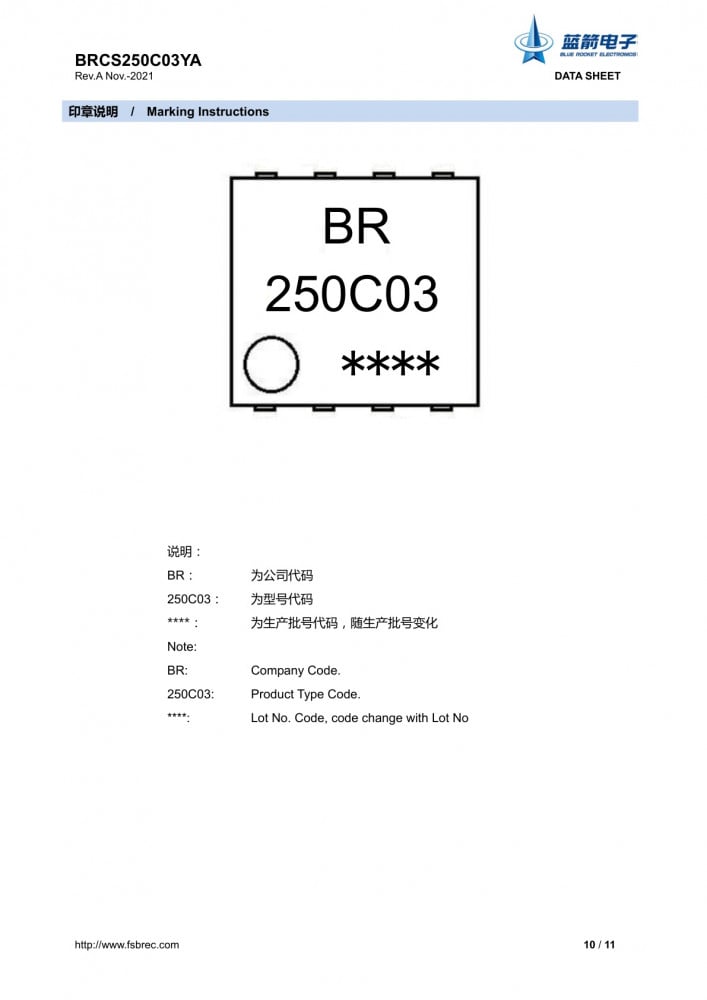 BRCS250C03YA datasheet page 10