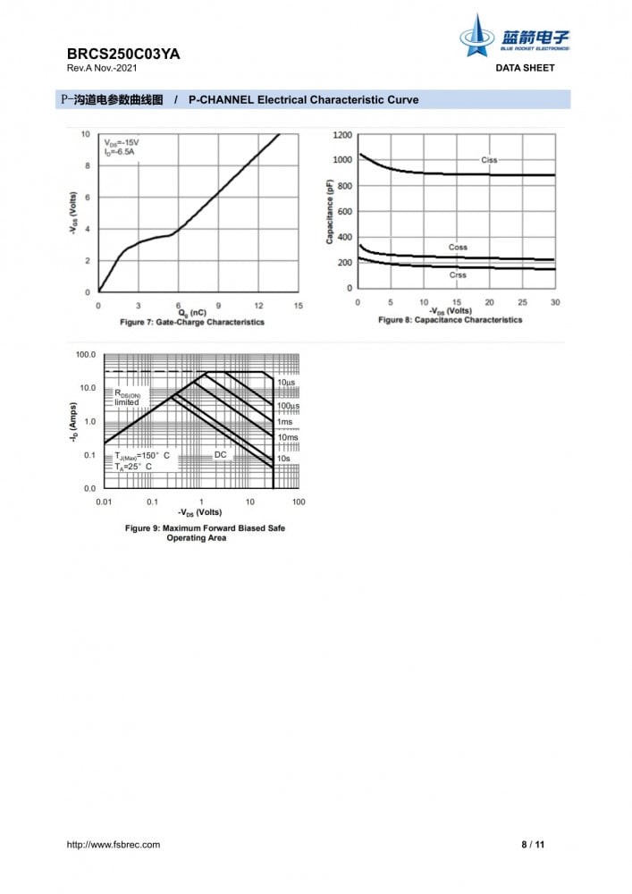BRCS250C03YA datasheet page 8