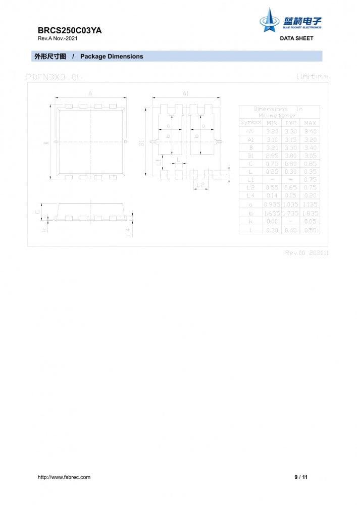 BRCS250C03YA datasheet page 9