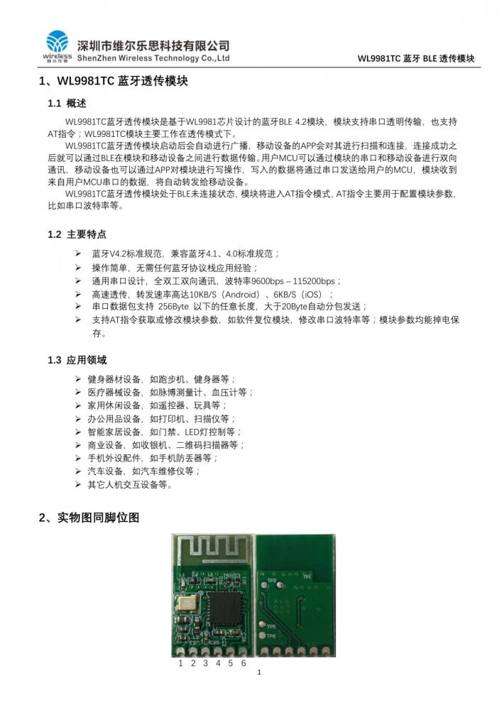 WL9981TC datasheet page 3