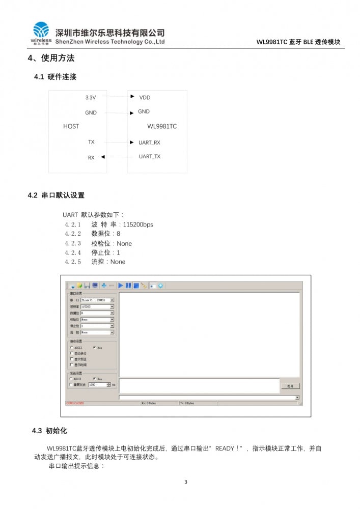 WL9981TC datasheet page 5