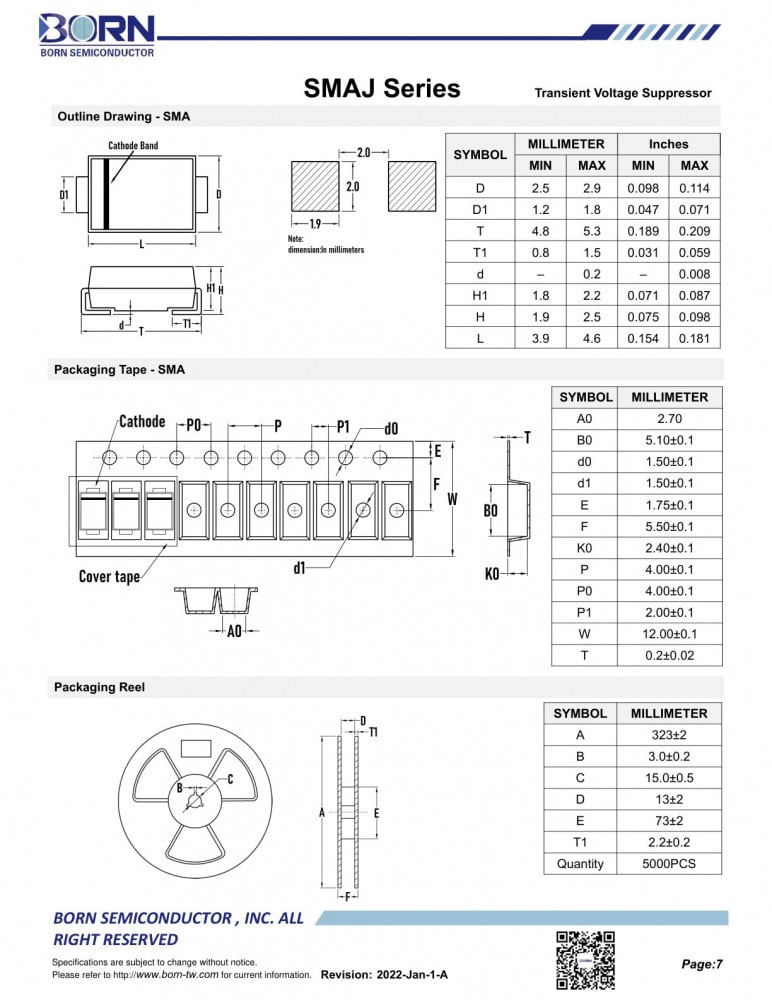 BORN SMA series packaging page 7