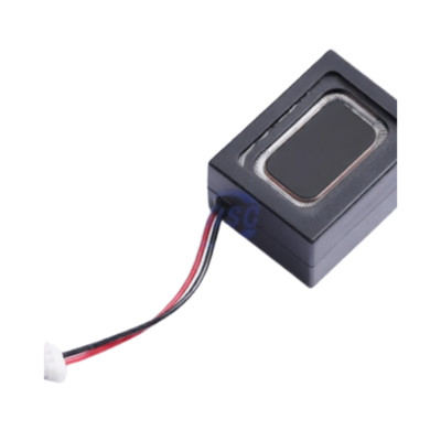 Dragonstate HDK-160908ZA-BOX Speaker Chip