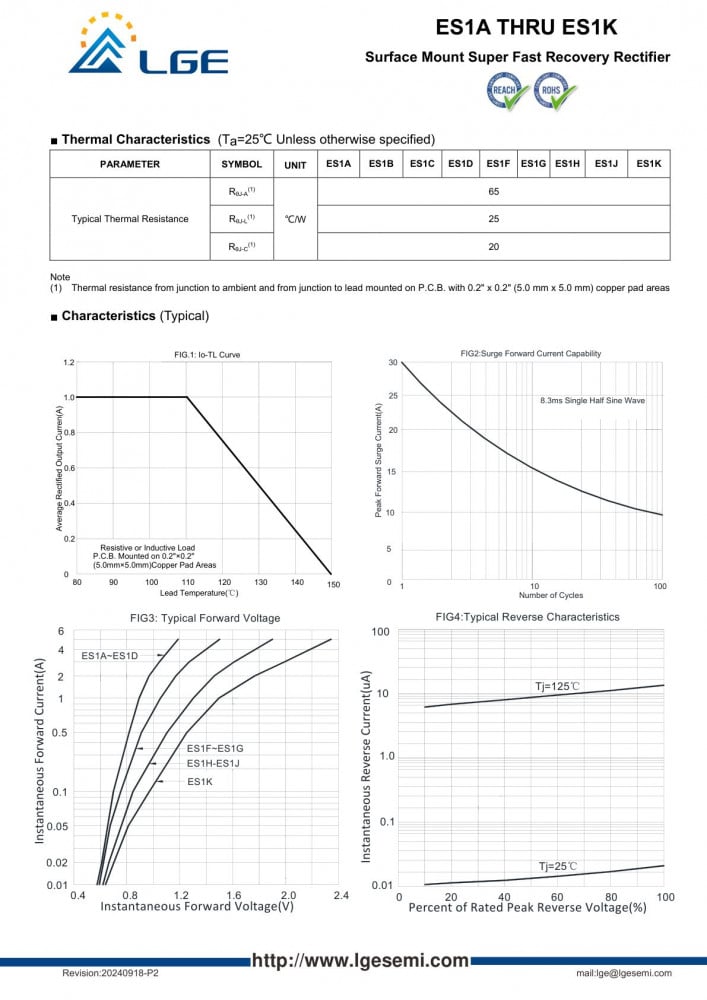 LGE ES1K datasheet page 2