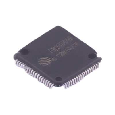 FUDAN MICRO FM33G026 Microcontroller