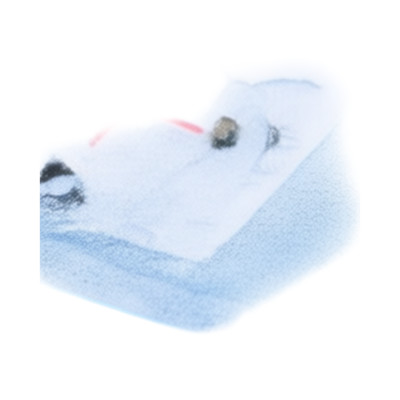 Chinocera HGC0402R5475M160NTEJ Ceramic Capacitor