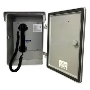 Page/Party® Station, Outdoor, Non-Met, Single w/Aux, 120VAC