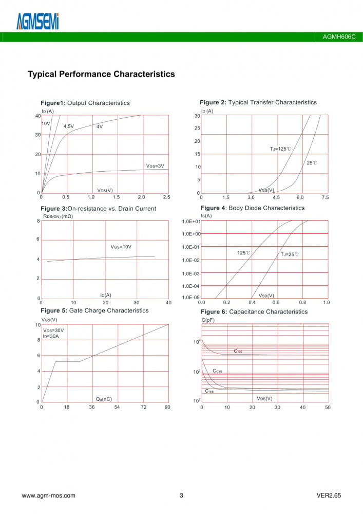 AGMH606C datasheet page 3