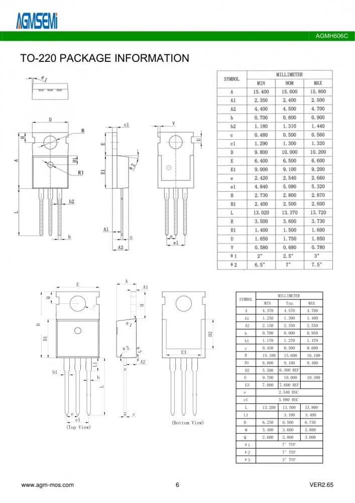 AGMH606C datasheet page 6