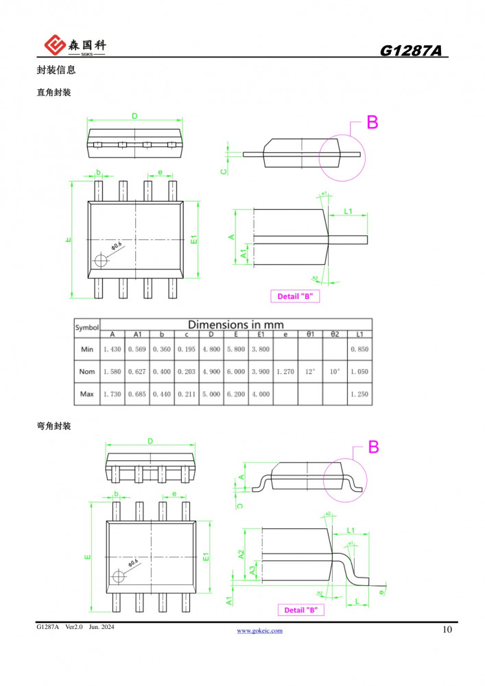 G1287A datasheet page 10