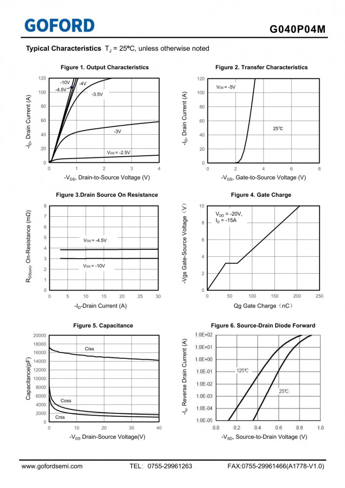 G040P04M datasheet page 4