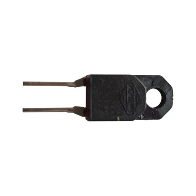 Cantherm F20A12505IZA0060