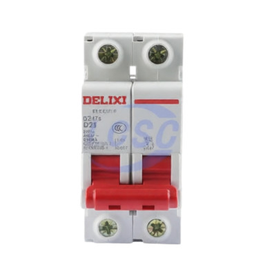 Delixi Electric DZ47s D 2P 16A Miniature Circuit Breaker